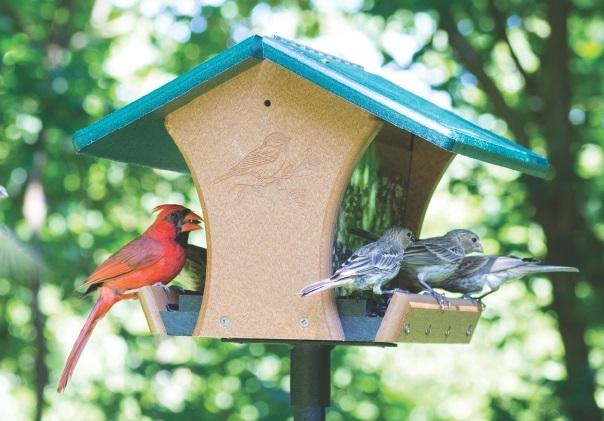 Wild Birds Unlimited - Nature Shop